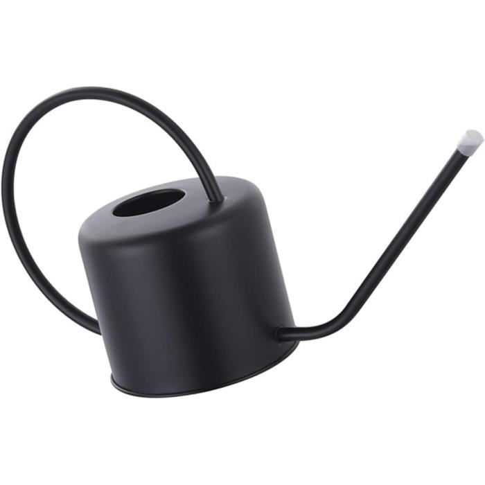 Arrosoir En Inox Succulent Arrosoir D'Eau En Métal Arrosoir Extérieur ...