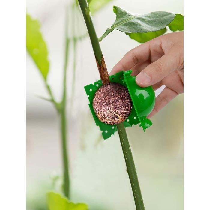 Dispositif d'enracinement des Plantes Boule Plante greffage Coupe ...
