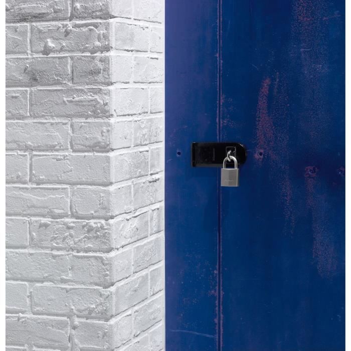 master lock lchw20101