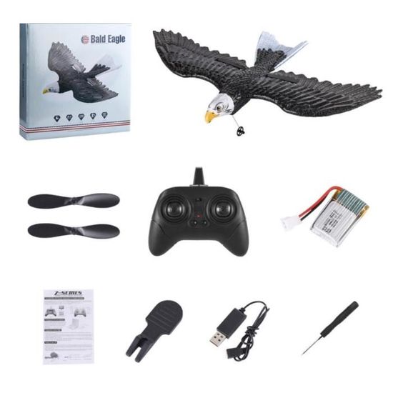 Avion télécommandé pour garçons et débutants, avion RC Airana 2.4GHZ ...