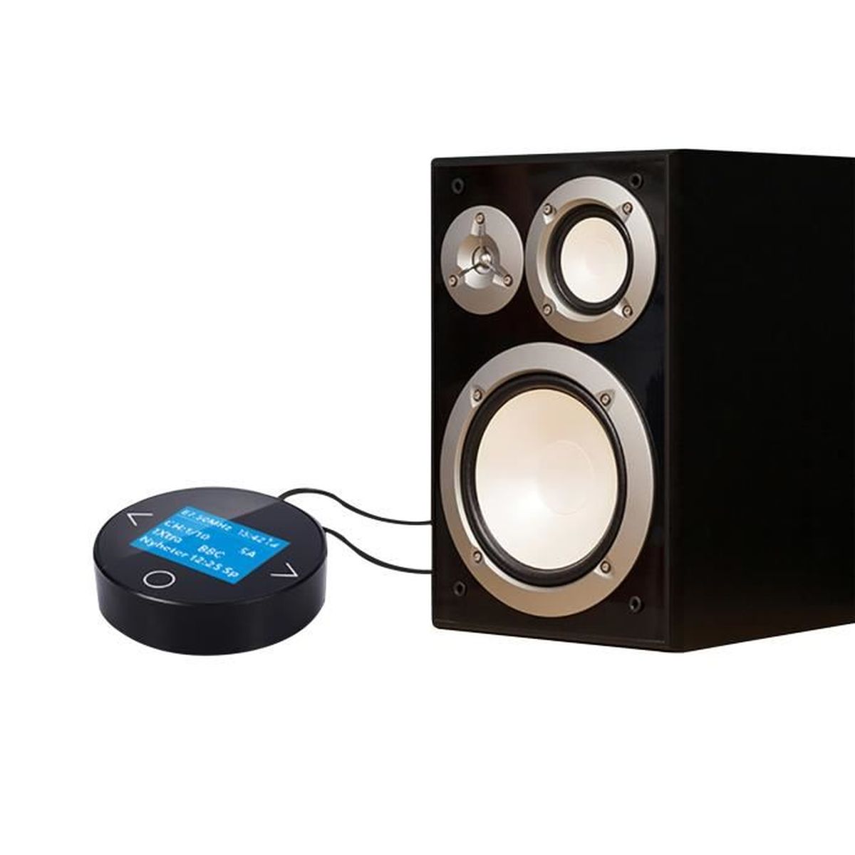Récepteur de diffusion audio numérique DAB DAB DAB + FM Box ...