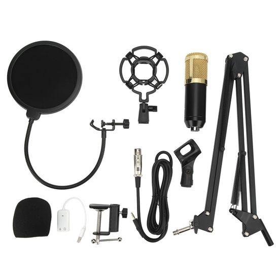 Kit de microphone à condensateur, carte son, kit de micro de studio ...