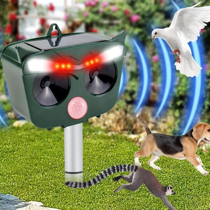 Repulsif Chat Exterieur,Solaire Répulsif Chat Ultrason 6 Mode Fréquence ...