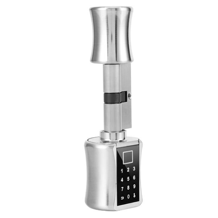 Serrure de porte biométrique Serrure de porte scanner bricolage serrure ...