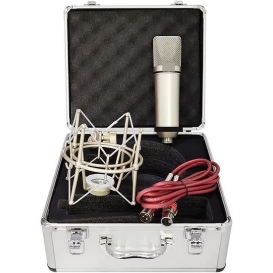 Micro Condenser Professional Microphone Kit 87 Microphone Recording ...