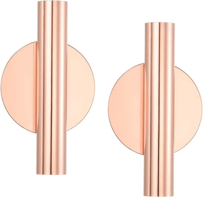 Mur Fleur Vase Tube, 2 Paquet Métal Floral Tubes Mural Fleur Tube Séché ...