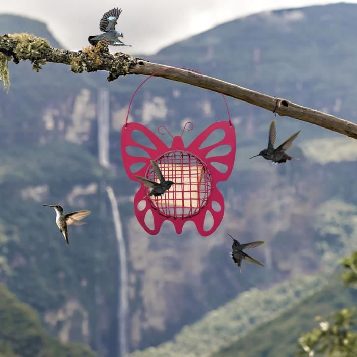 Rétro Heritage Wild Bird Hanging Fat Ball Feeder Mangeoires Colibri en ...