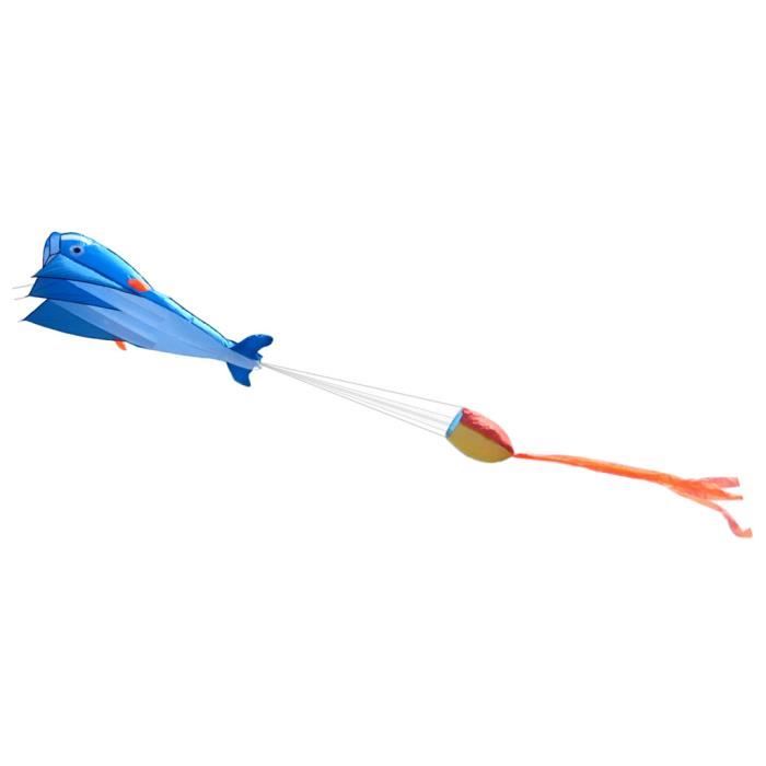 Blue Dolphin Sans Cadre Easy Flyer Kite pour Beach Park Garden ...