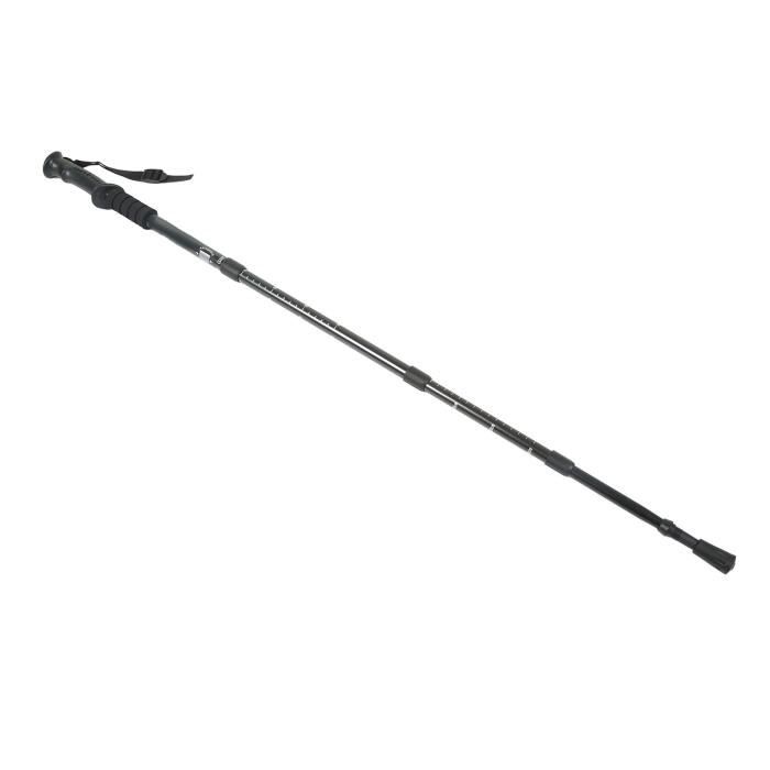 VINGVO bâton de randonnée BâTons de Randonnée Absorbant les Chocs 4 ...