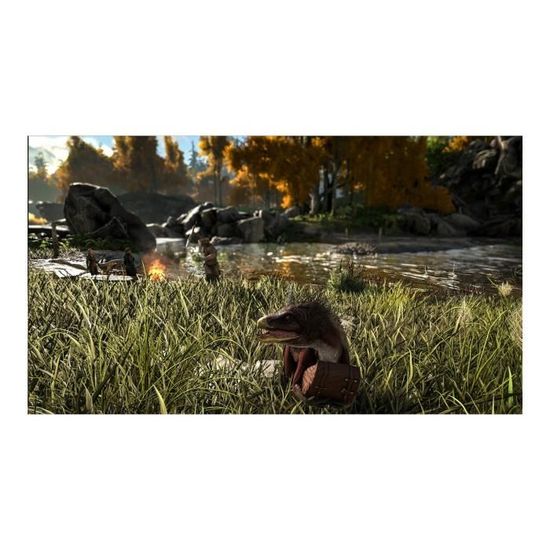 Jeu vidéo - Studio Wildcard - ARK Survival Evolved - Aventure - PS4 - 1 ...