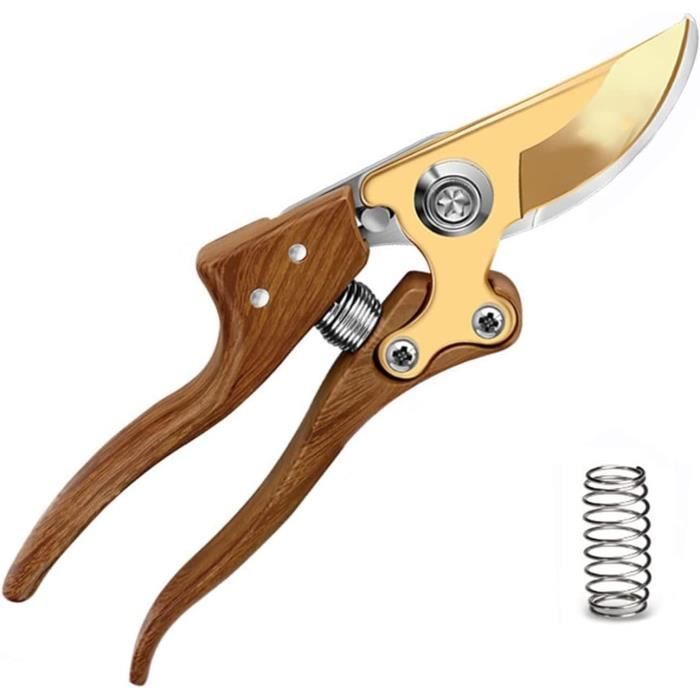 Sécateurs de jardin Sécateurs de plantes en acier SK5 Garden Shears ...