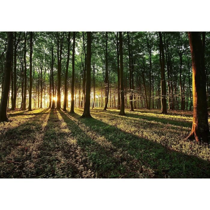 Papier Peint Adhésif Foret 147X105 Cm Mural Décoration Feuille Autocollante Stickers Xxl Poster ...