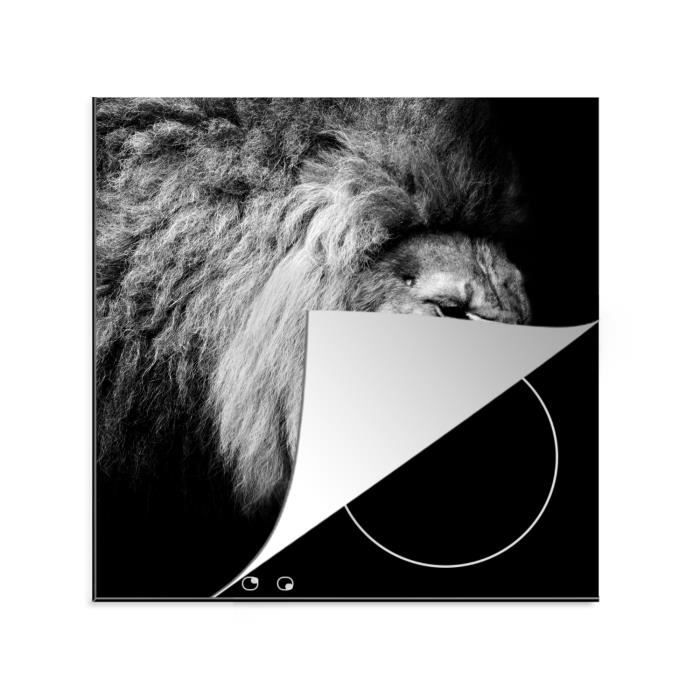 Protège-Plaque - MuchoWow - 78x78 cm - Lion Portrait Animaux - Blanc ...