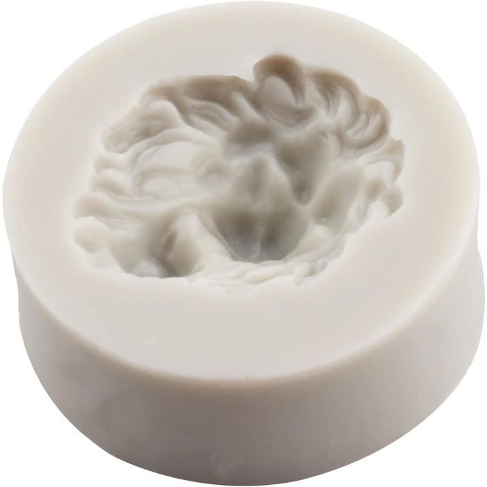 3D Tête De Lion Moules À Fondant En Silicone Pour La Décoration De ...