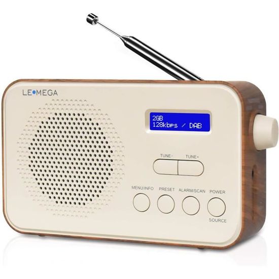Radio Numérique Portabdab-Dab+ Et Fm, Design Compact De Poche, Radio ...