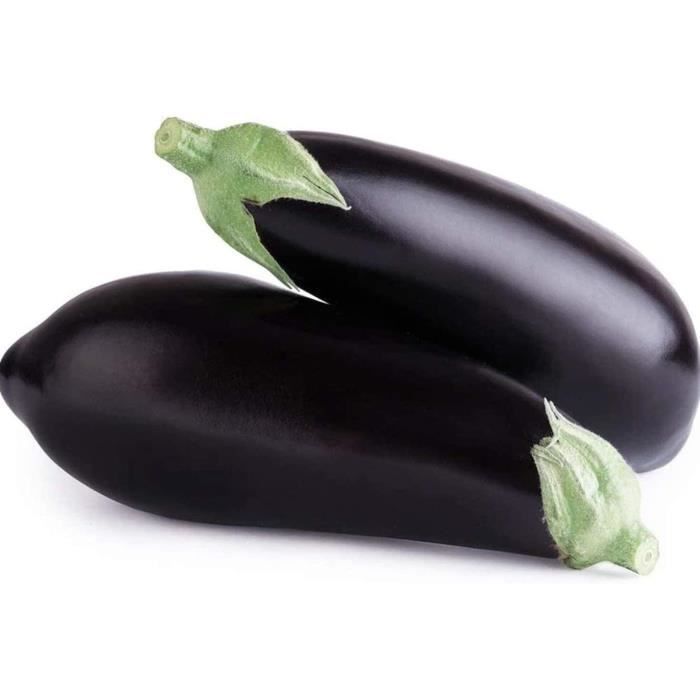 Les Légumes Faciles D'Entretien Sont Plantés En Morceaux Pour Créer Une ...