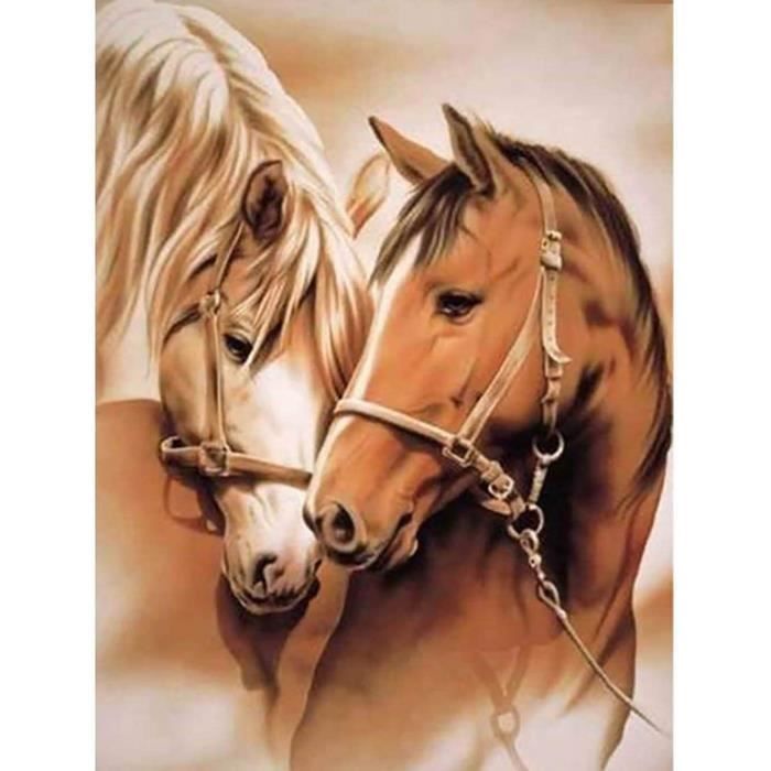 Peinture au Numero DIY Cheval Paint by Number Kit Peinture Par Numéros ...