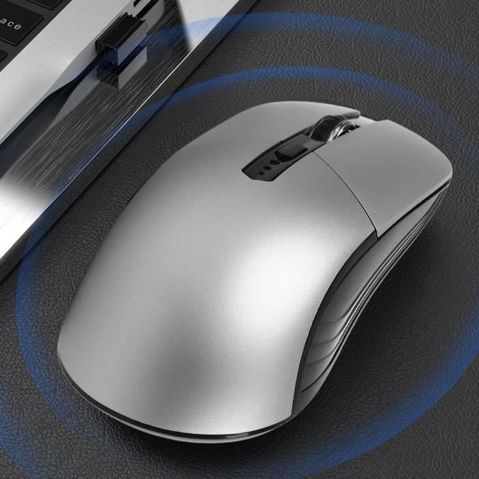 Souris Bluetooth Souris sans Fil, Souris D'Ordinateur2,4 G avec 6 ...
