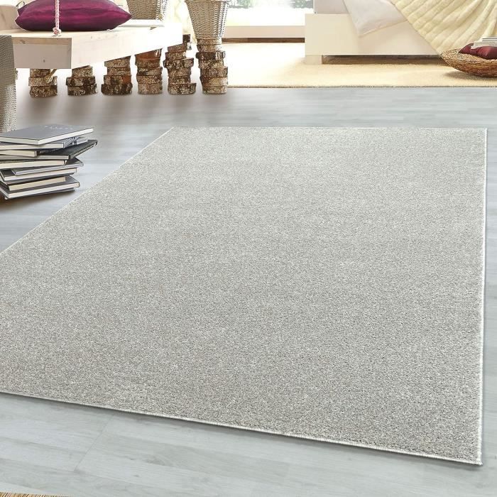 Grand Tapis Salon Moderne Tapis Chambre Tapis Nature 240X340 Cm - Tapis Poil Court Salle De ...