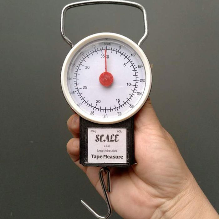 Pèse-bagages - iINN® - Balance à ressort portable - Charge max 35 kg ...