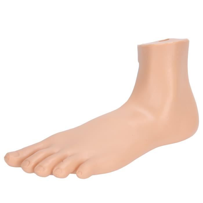 Modèle de pied 1:1 Modèle De Pied Humain Adultes Lifesize Enseignement ...