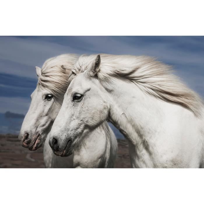 Papier Peint Photo INTISSÉ-(196888)-PORTRAIT CHEVAL BLANC -250x186cm-5 ...