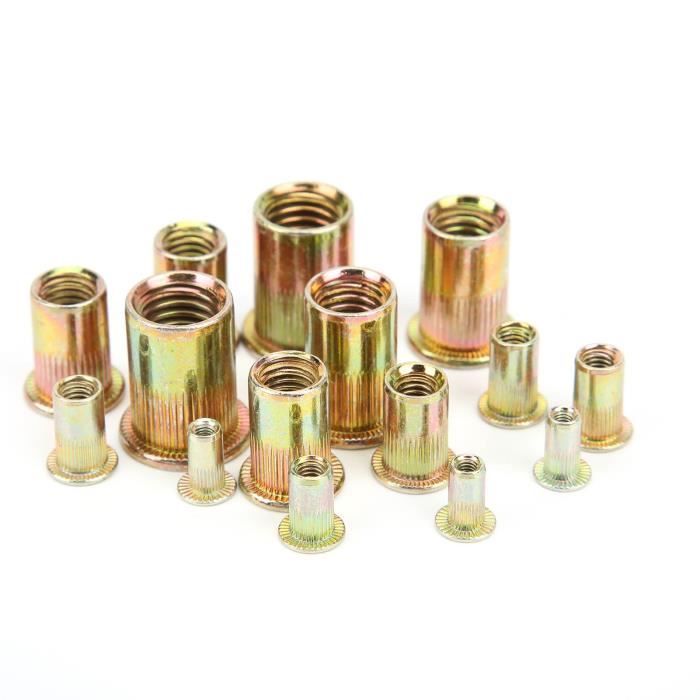 DEX crou à rivets Rivet NutKnurled Rivet Nut, Pratique Pratique Rivet Nut en Acier au Carbone ...