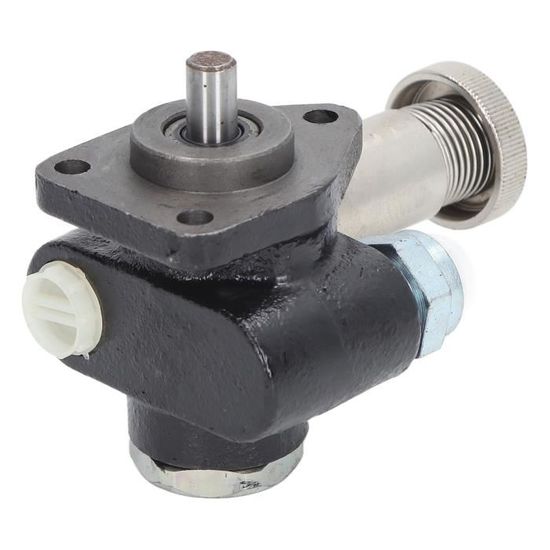 Qiilu Pompe à carburant Pompe d'alimentation en carburant à main ...