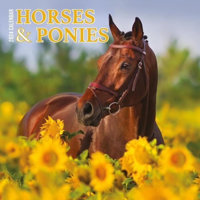 Calendrier 2024 Chevaux Et Poneys[H1637] - Cdiscount Beaux-Arts et Loisirs créatifs