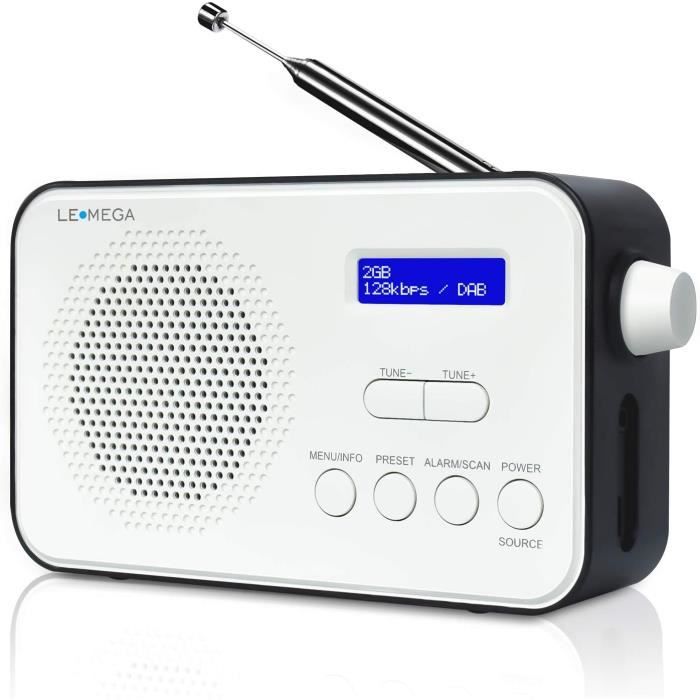 Radio Numérique Portabdab-Dab+ Et Fm, Design Compact De Poche, Radio ...