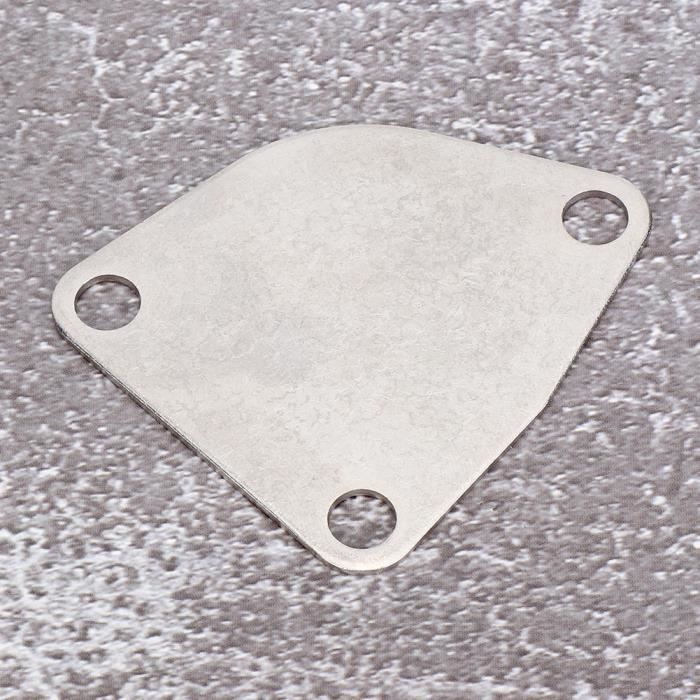 Plaque de vanne EGR Plaque d'obturation de vanne EGR adaptée pour VAUXHALL VIVARO MOVANO 1.9 DTI ...