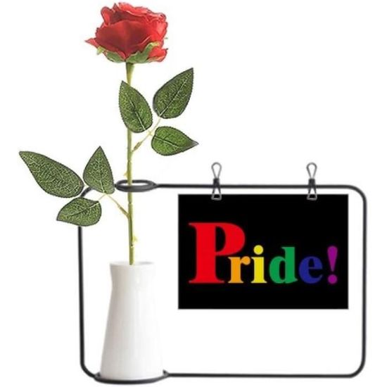 Pride Lgbt Rainbow Homo Art Déco Rose Artificielle À Suspendre Vase ...