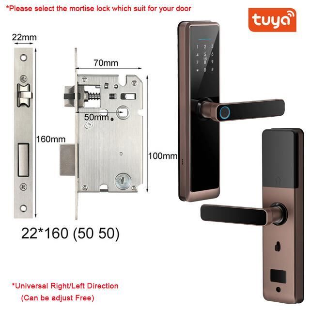 Serrure électronique biométrique Tuya,serrure de porte intelligente numérique,empreinte digitale ...