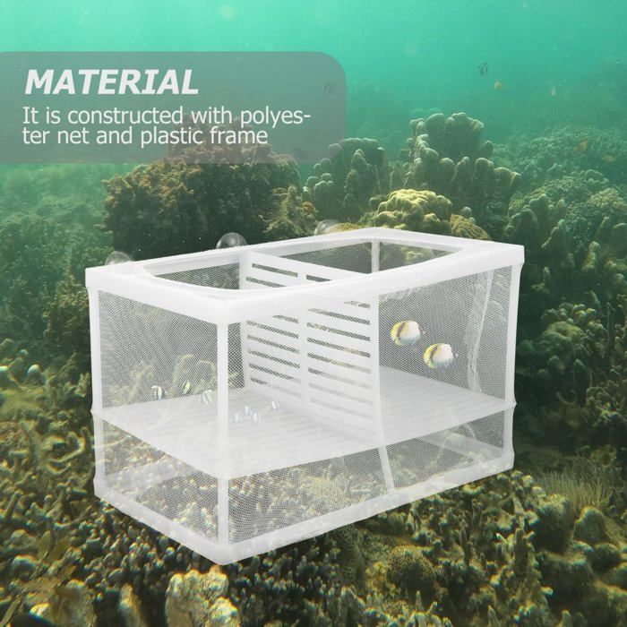 Boîte d'élevage pour poissons d'aquarium avec grille de séparation et ...