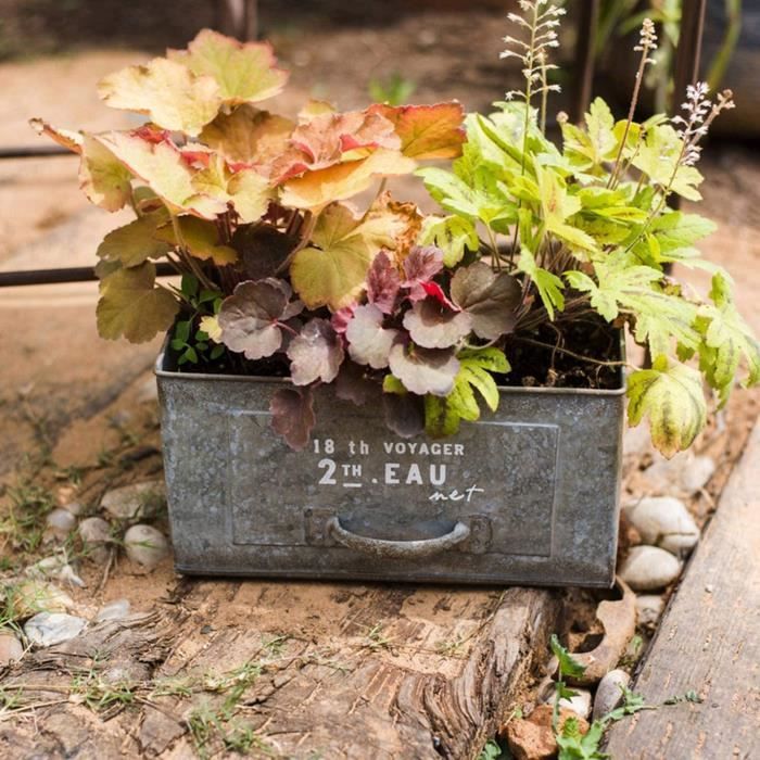 Jardinières Fanuse Vintage Minable Rectangle Chic Zinc Galvanisé la ...