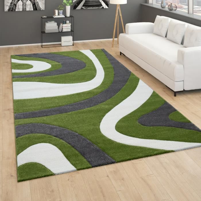 Paco Home Tapis De Salon Poils Ras Motif Ondulé Abstrait Moderne Design 3D Vert Gris 120x170 cm ...