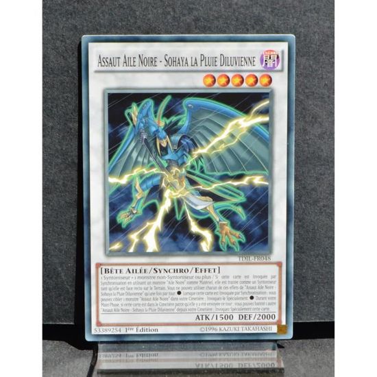 Carte YU-GI-OH TDIL-FR048 Assaut Aile Noire - Sohaya La Pluie Diluvienne Commune NEUF FR ...