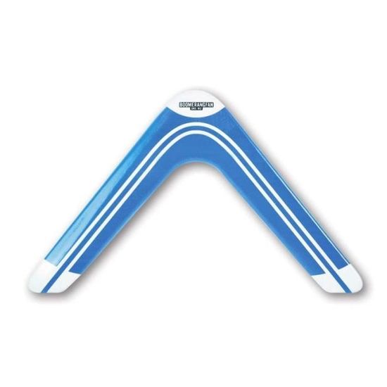 Boomerang - BoomerangFan - V-shape Gaucher - Enfant - Débutant 10 ...
