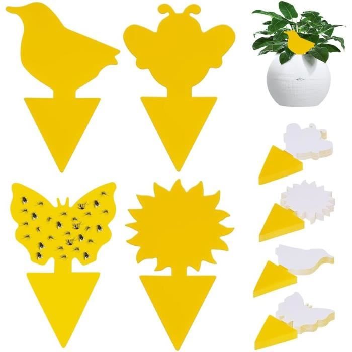 Anti Moucheron Plante,80 Pieces Attrape Moucheron Plantes,Pièges ...