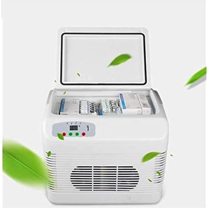 FBITE Réfrigérateur portatif 12L Mini Refroidisseur réfrigérateur, Mini ...