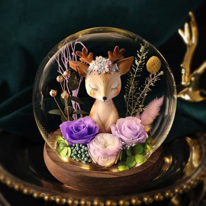 Qwed Rose la Belle et la bete,Fleur eternel,Naturelle Rose Eternelle ...