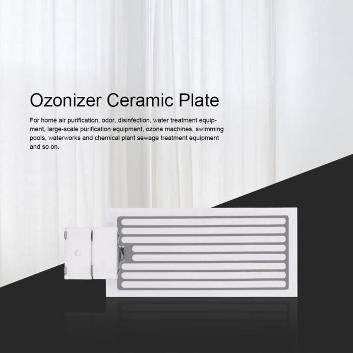 YOSOO Ozone Generator Ozonizer Ceramic Plate Air Purifier Kit Ceramic ...