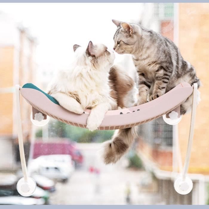 YES Transat pour Chats, Hamac pour chat, Hamac de chat le verre du ...