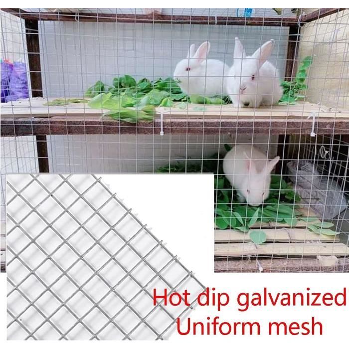 Clôture En Rouleaux De Grillage, Filet De Grillage Soudé, Maille Carrée En Acier Galvanisé Pour ...