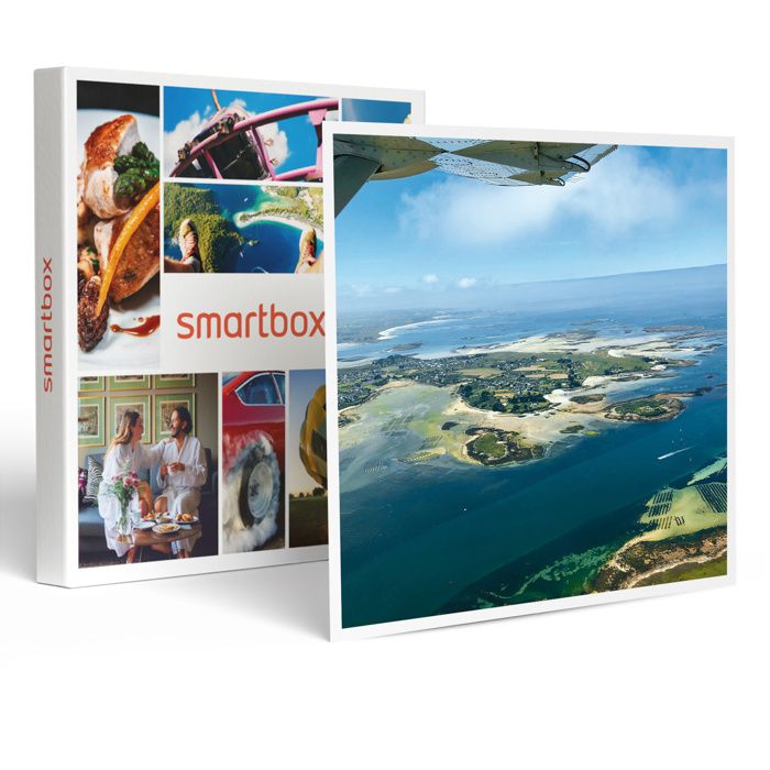 SMARTBOX - 20 min d'initiation au pilotage à bord d'un avion électrique ...