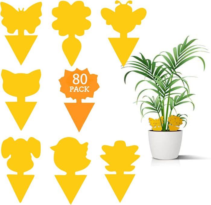 80 Pcs Attrape Moucheron Plantes, Luttent Contre Les moustiques ...