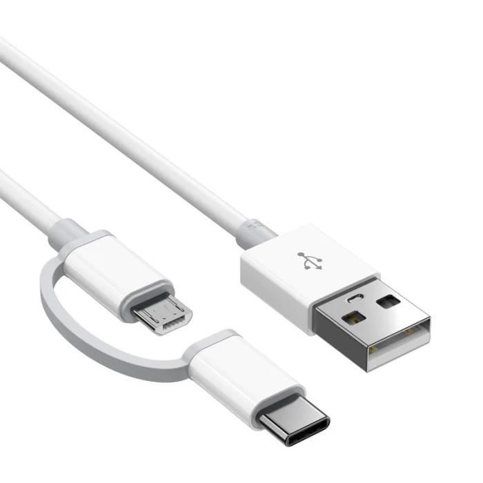 Câble de données 2 en 1 - RNCYN - Micro USB & Type C - 3A - 2m ...