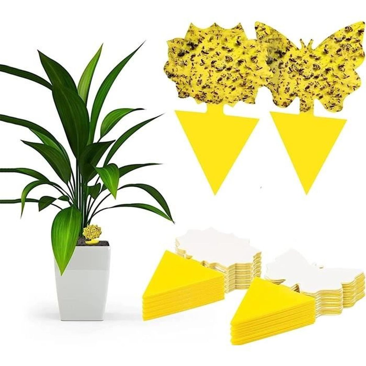 Pièges à Insectes,Attrape Mouche,Anti moucherons Interieur,Attrape ...