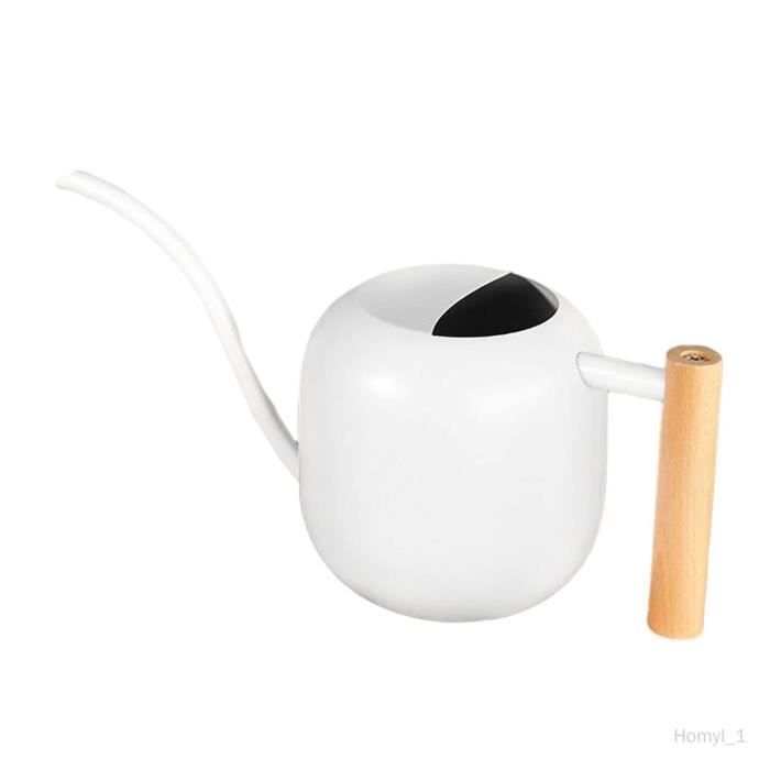 Arrosoir - COLAXI - Longue Bouilloire - Acier Inoxydable - Design ...