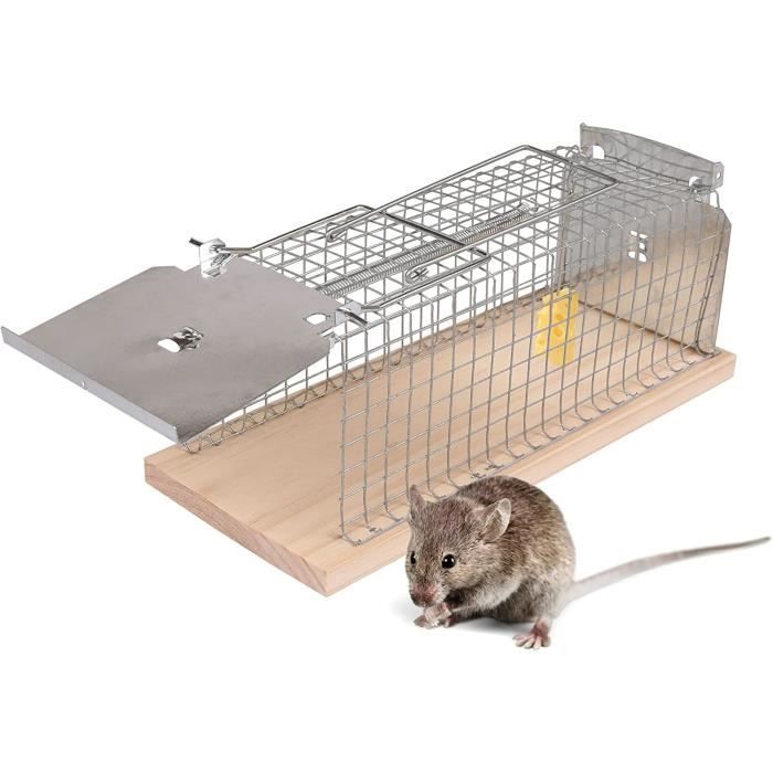 AJW-Piège à Souris-Rats piège à martre 30x12x10cm[899] - Cdiscount Jardin